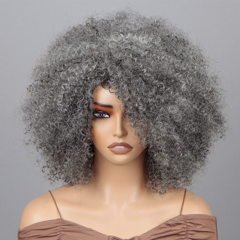 Silver Grey Wig For Seniors Beginner Friendly Salt and Pepper Color ...